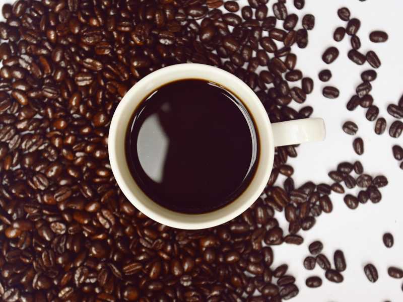 Jangan Buang Ampas Kopi Anda Manfaatnya Bisa Menyubur