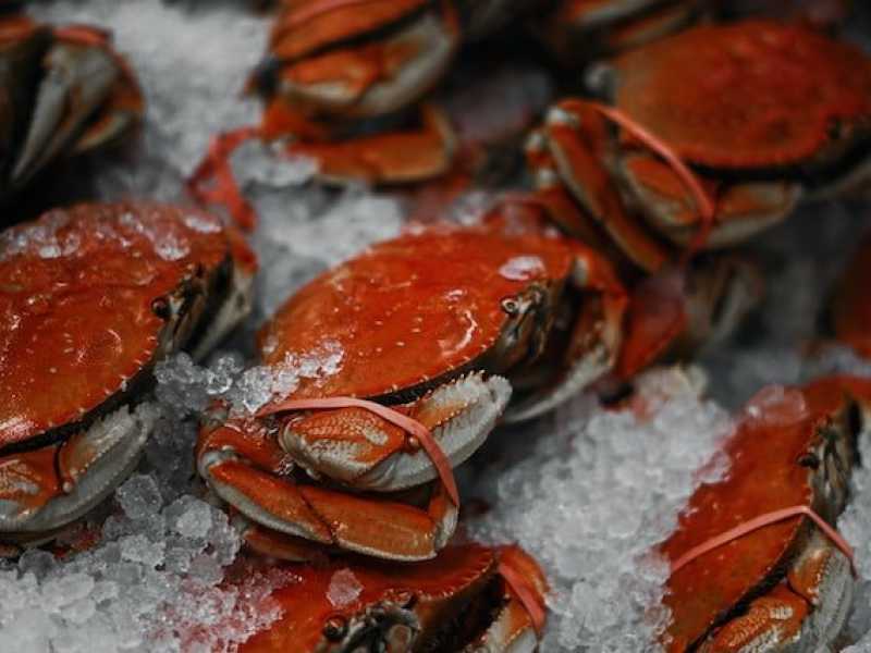 Serupa tapi Ternyata Berbeda, Ini Beda Kepiting dan Rajungan